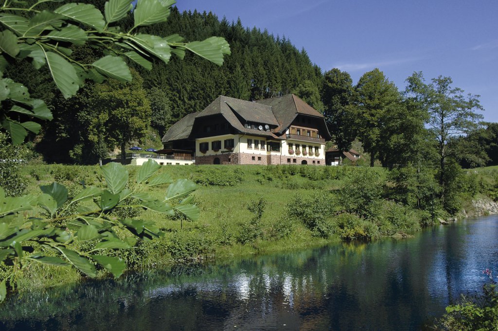 Bad Rippoldsau Schapbach Hotel